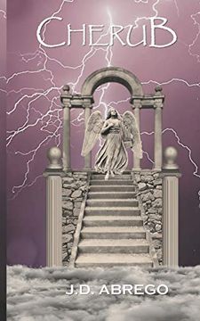 Libro Cherub: Las Crónicas de Erael: 1 De Jorge Daniel Abrego - Buscalibre