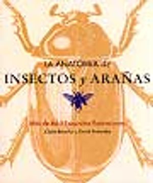 Libro Anatomía De Insectos Y Arañas, La De Claire Beverley; David ...