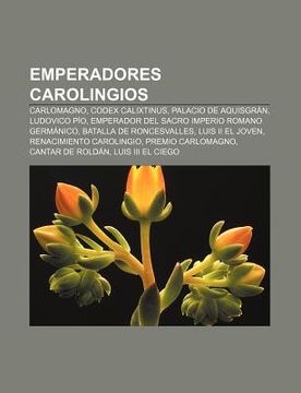 Libro emperadores carolingios: carlomagno, codex calixtinus, palacio de ...