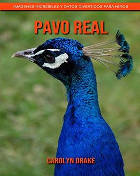 Libro Pavo Real: Imágenes Increíbles y Datos Divertidos Para Niños De ...