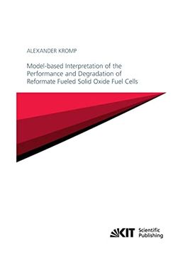 Libro Model-Based Interpretation of the Performance and Degradation of ...