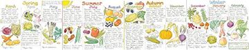 Libro Seasonal Fruit and Vegetables Wallchart (Liz Cook Charts) (en ...
