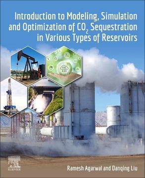 Libro Introduction to Modeling, Simulation and Optimization of co2 Sequestration in Various ...