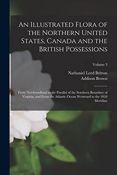 Libro An Illustrated Flora of the Northern United States, Canada and ...
