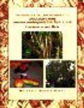 Libro Guia Para El Cultivo Y Aprovechamiento Del Arboloco O Anime ...