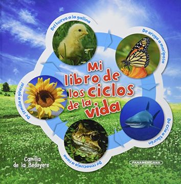 Libro mi libro de los ciclos de la vida De camilla de la bédoyere ...