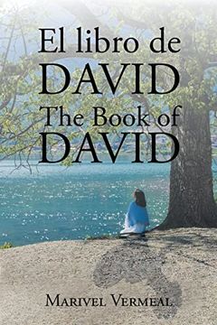 Libro El Libro de David: The Book of David De Marivel Vermeal - Buscalibre