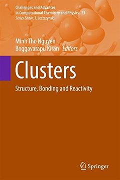 Libro Clusters: Structure, Bonding and Reactivity (Challenges and ...
