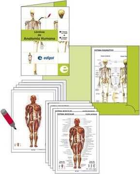 Libro Carpeta Láminas de Anatomía De S.A. Edigol Ediciones - Buscalibre