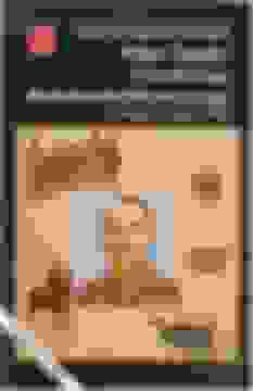 Libro Felipe Angeles y los Destinos de la Revolucion Mexicana (Sección ...