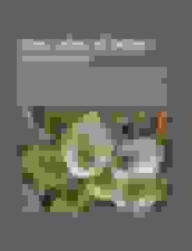 Libro sonic news network - hedgehogs: aman-rapi, amy-zilla, amy rose ...