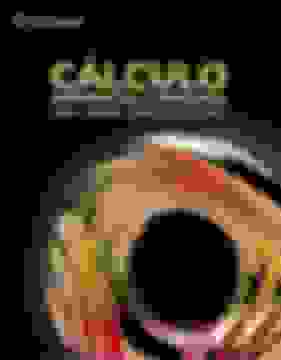 Libro Calculo Diferencial e Integral De Ron Larson - Buscalibre