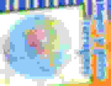 Libro Mapas y Globos Terraqueos (Maps and Globes) (Spanish Version ...