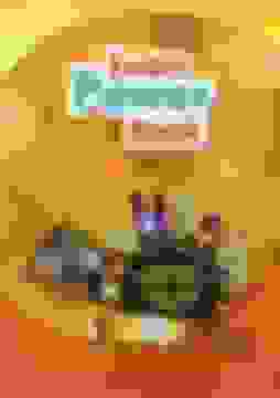 Libro Pack Ace! 4. Class Book And Songs (+ CD), Katherine Bilsborough, ISBN 9780190508937 ...