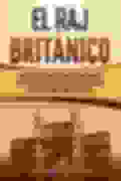 Comprar El raj Británico: Una Guía Fascinante Sobre los Británicos en ...