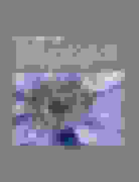 Libro 1625 births: rasmus bartholin, paulus potter, thomas corneille ...