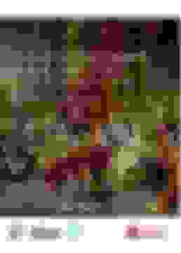 Libro El Mundo Atlántico Español Durante el Siglo Xviii Guerra y ...