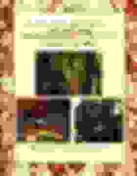 Libro Guia Para El Cultivo Y Aprovechamiento Del Arboloco O Anime ...