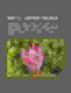 Libro ben 10 - sapient beings: aerophibian, amperi, anodite ...